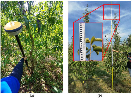 Method of 3D Voxel Prescription Map Construction in Digital Orchard ...