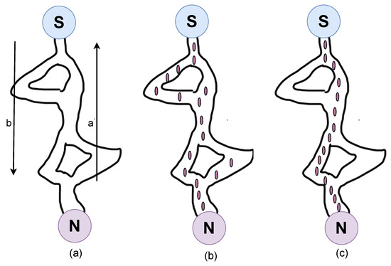 Drones | Free Full-Text | A Review of Swarm Robotics in a NutShell