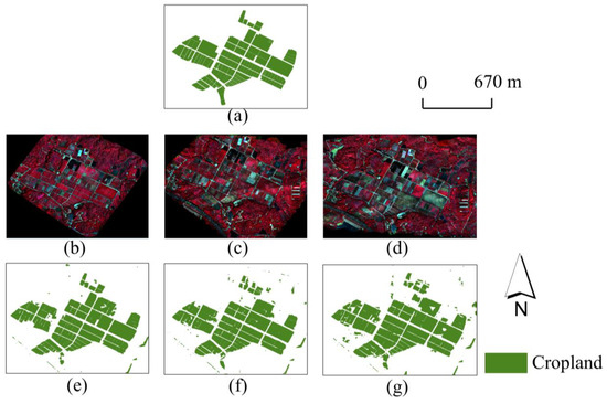 Drones | Free Full-Text | Extraction and Mapping of Cropland Parcels in ...