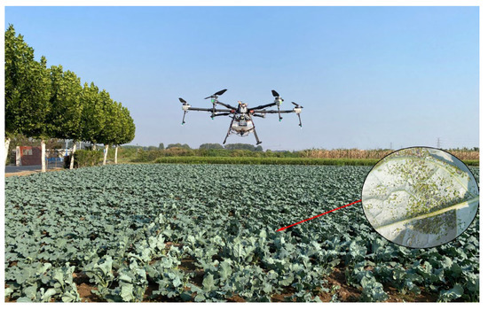 Drones | Free Full-Text | Design and Experiment of Ecological Plant ...