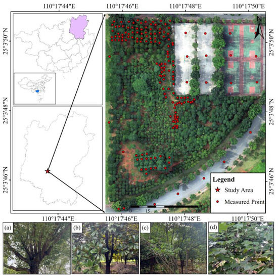 Study on the Differences between the Extraction Results of the ...