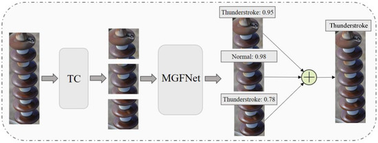 Drones | Free Full-Text | MGFNet: A Progressive Multi-Granularity Learning Strategy-Based ...