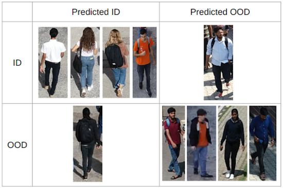 A Robust Pedestrian Re-Identification and Out-Of-Distribution Detection Framework