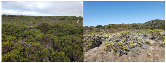 A Drone-Powered Deep Learning Methodology for High Precision Remote ...