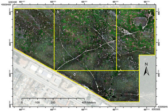 A Drone-Powered Deep Learning Methodology for High Precision Remote ...