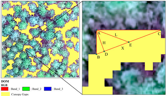 Improving Estimation of Tree Parameters by Fusing ALS and TLS Point Cloud Data Based on Canopy ...