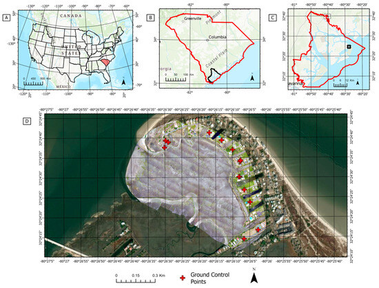 The Dynamic Nature of Wrack: An Investigation into Wrack Movement and ...