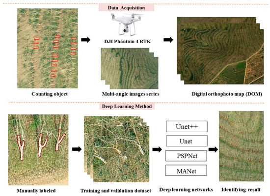 Rubber Tree Recognition Based on UAV RGB Multi-Angle Imagery and Deep Learning
