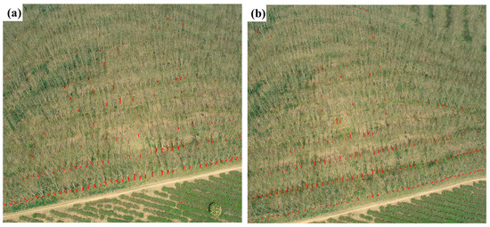 Rubber Tree Recognition Based on UAV RGB Multi-Angle Imagery and Deep Learning