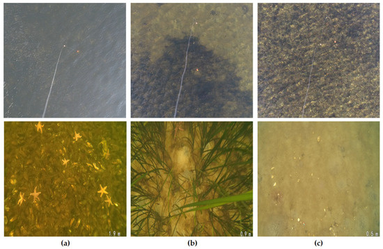 Drones | Free Full-Text | UAV-Based Subsurface Data Collection Using a Low-Tech Ground-Truthing ...