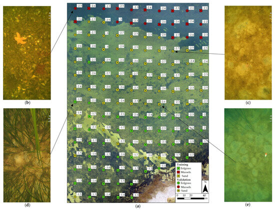 Drones | Free Full-Text | UAV-Based Subsurface Data Collection Using a Low-Tech Ground-Truthing ...