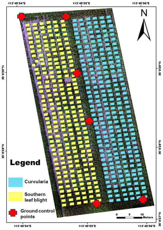 Monitoring Maize Leaf Spot Disease Using Multi-Source UAV Imagery