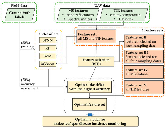 Monitoring Maize Leaf Spot Disease Using Multi-Source UAV Imagery