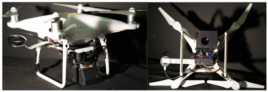 Burrow-Nesting Seabird Survey Using UAV-Mounted Thermal Sensor and ...