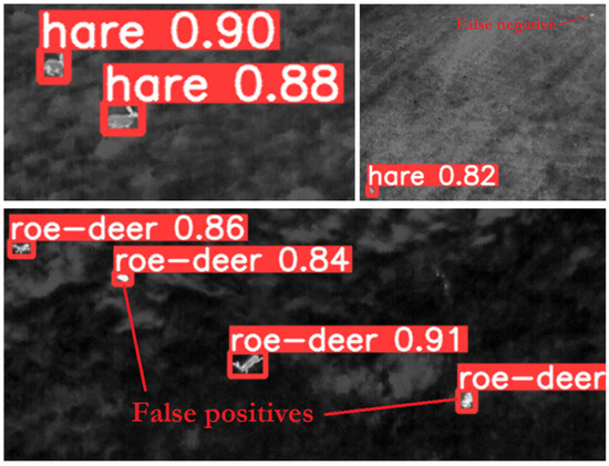Using YOLO Object Detection to Identify Hare and Roe Deer in Thermal Aerial Video Footage ...
