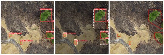 Advancing Forest Fire Risk Evaluation: An Integrated Framework for ...