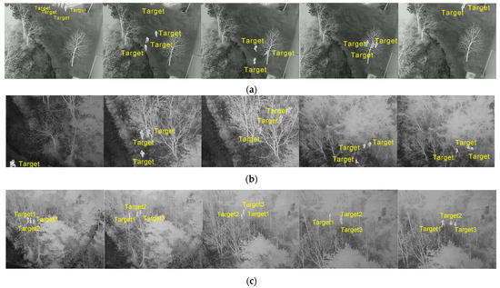 Thermal Image Tracking for Search and Rescue Missions with a Drone