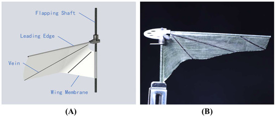 HiFly-Dragon: A Dragonfly Inspired Flapping Flying Robot with Modified ...