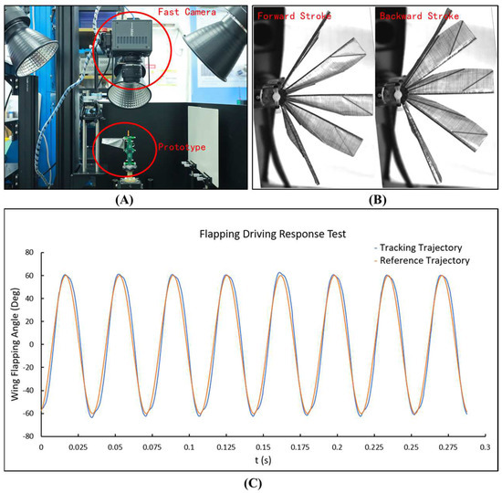 HiFly-Dragon: A Dragonfly Inspired Flapping Flying Robot with Modified ...