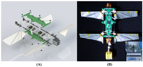 HiFly-Dragon: A Dragonfly Inspired Flapping Flying Robot with Modified ...