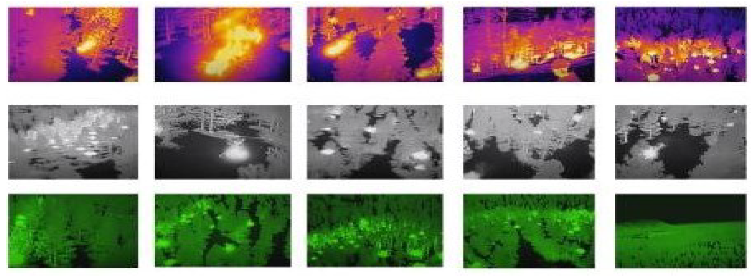 Superpixel-Based Graph Convolutional Network for UAV Forest Fire Image Segmentation