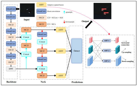 SSMA-YOLO: A Lightweight YOLO Model with Enhanced Feature Extraction and Fusion Capabilities for ...