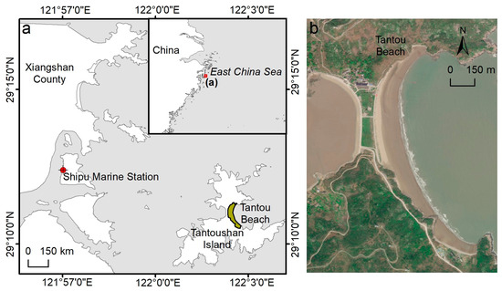 Monitoring Change and Recovery of an Embayed Beach in Response to ...
