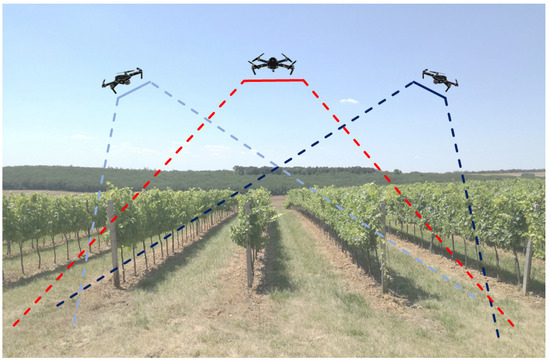 Predicting Grape Yield with Vine Canopy Morphology Analysis from 3D Point Clouds Generated by ...