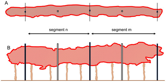 Predicting Grape Yield with Vine Canopy Morphology Analysis from 3D Point Clouds Generated by ...