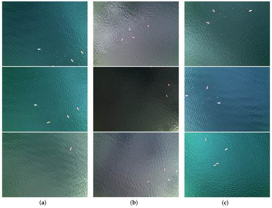 Drones | Free Full-Text | DLSW-YOLOv8n: A Novel Small Maritime Search ...