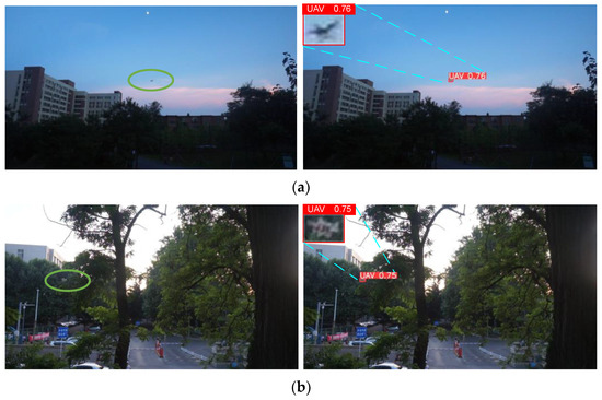 EDGS-YOLOv8: An Improved YOLOv8 Lightweight UAV Detection Model