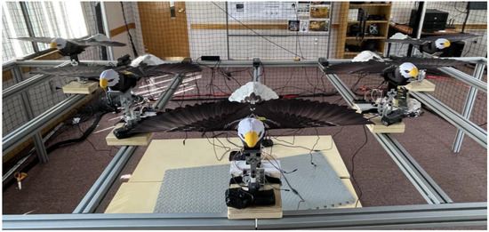 Studies on V-Formation and Echelon Flight Utilizing Flapping-Wing Drones