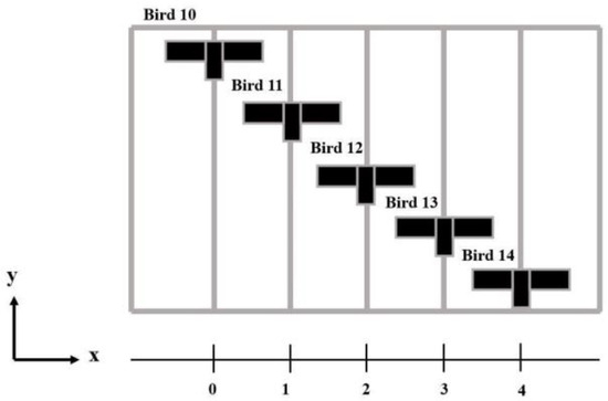 Studies on V-Formation and Echelon Flight Utilizing Flapping-Wing Drones