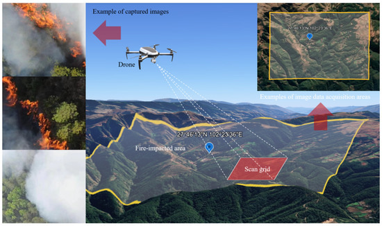 Tiny-Object Detection Based on Optimized YOLO-CSQ for Accurate Drone Detection in Wildfire Scenarios