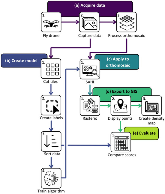 Using YOLOv5, SAHI, and GIS with Drone Mapping to Detect Giant Clams on the Great Barrier Reef