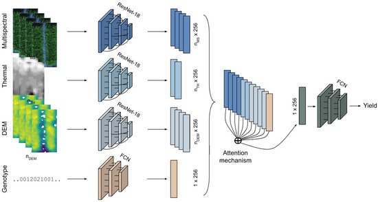 Grain Crop Yield Prediction Using Machine Learning Based on UAV Remote ...