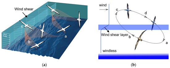 Effects of Bio-Inspired Wing Dihedral Variations on Dynamic Soaring ...