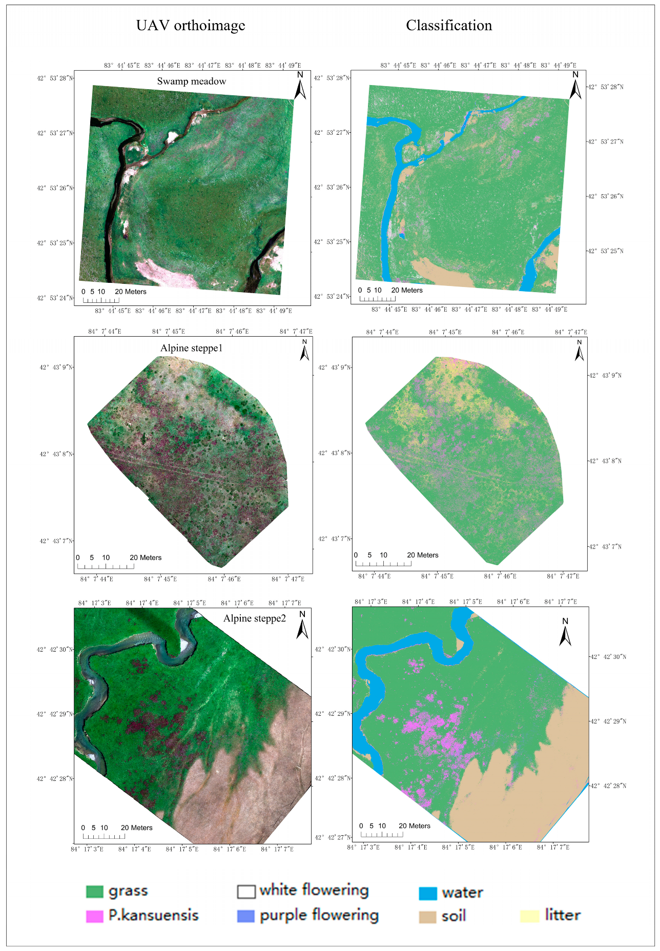 Mapping Invasive Species Pedicularis and Background Grassland Using UAV and Machine Learning ...