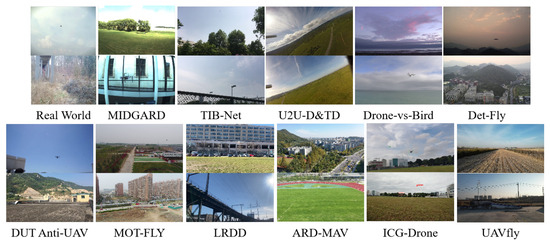 Vision-Based Drone Detection in Complex Environments: A Survey