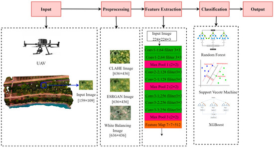 Advanced Image Preprocessing and Integrated Modeling for UAV Plant ...
