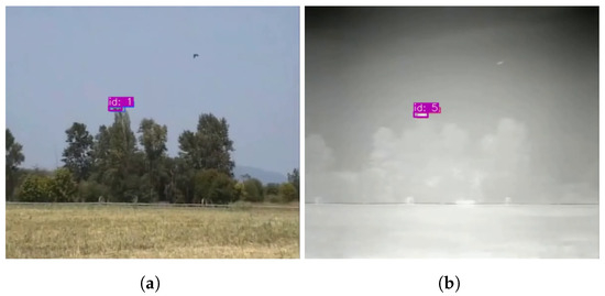 Infrared and Visible Camera Integration for Detection and Tracking of ...