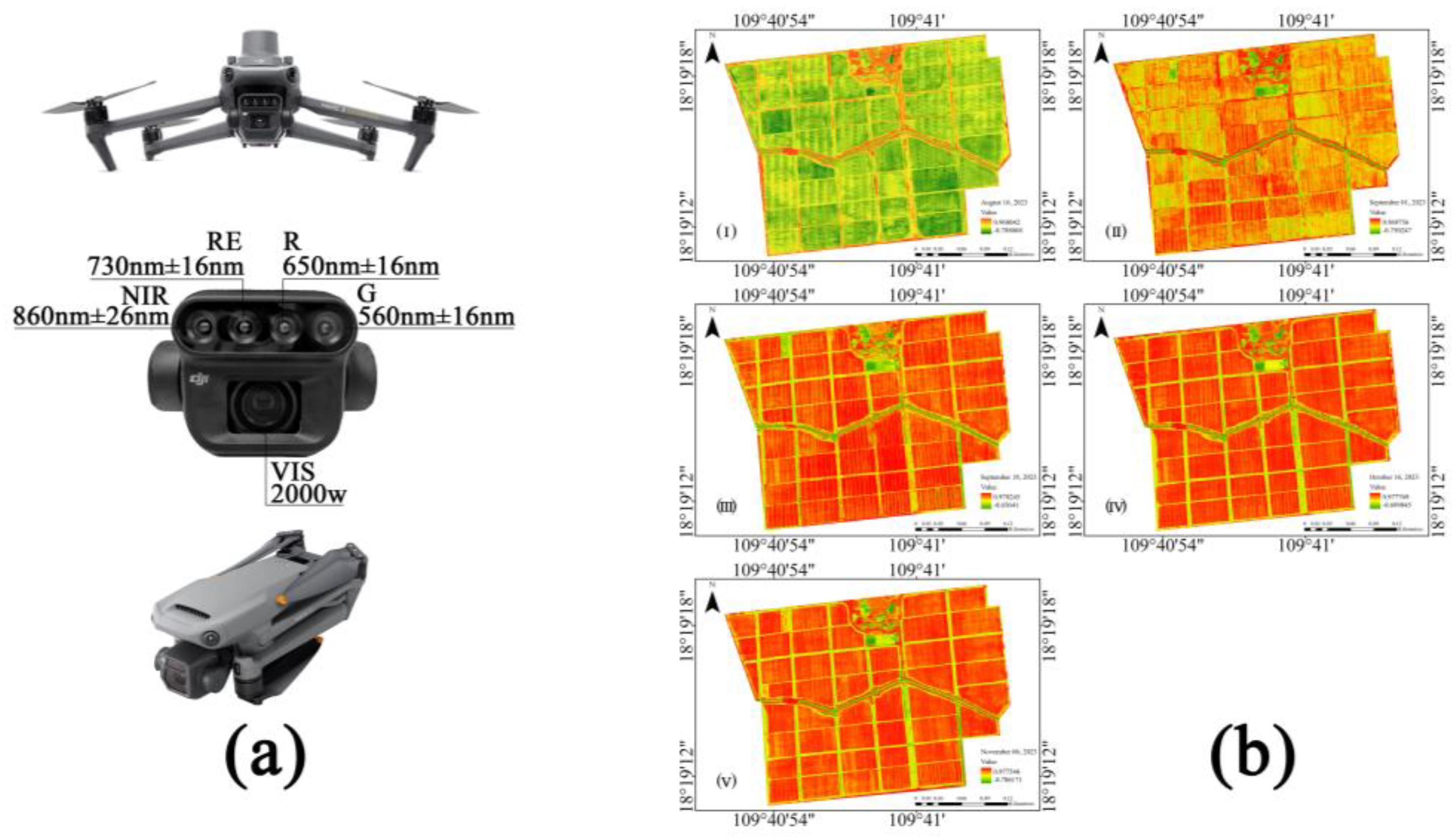 Accurate Prediction of 327 Rice Variety Growth Period Based on Unmanned Aerial Vehicle ...
