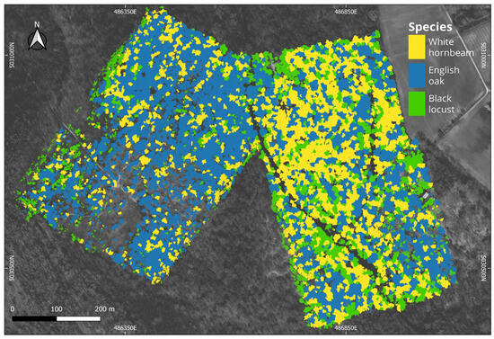 Integrating Drone-Based LiDAR and Multispectral Data for Tree Monitoring