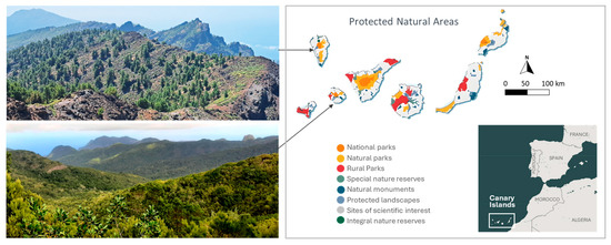 Performance Of Individual Tree Segmentation Algorithms In Forest Ecosystems Using Uav Lidar Data