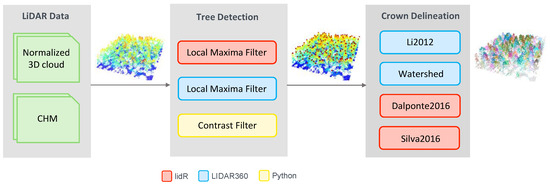 Performance of Individual Tree Segmentation Algorithms in Forest ...