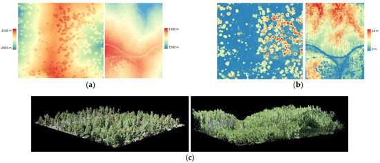 Performance Of Individual Tree Segmentation Algorithms In Forest Ecosystems Using Uav Lidar Data