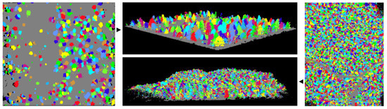 Performance Of Individual Tree Segmentation Algorithms In Forest Ecosystems Using Uav Lidar Data