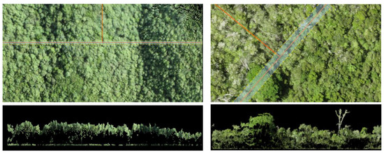 Performance Of Individual Tree Segmentation Algorithms In Forest Ecosystems Using Uav Lidar Data