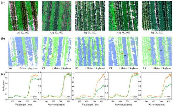 Improving Satellite-Based Retrieval of Maize Leaf Chlorophyll Content by Joint Observation with ...