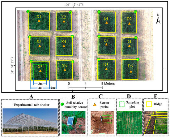 Precise Drought Threshold Monitoring in Winter Wheat Different Growth ...